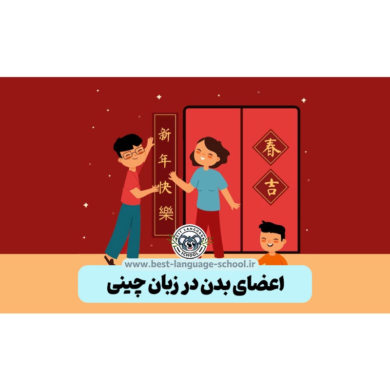 اعضای بدن در زبان چینی - 👂🏻👁️ معرفی کامل اعضای بدن در زبان چینی + جدول